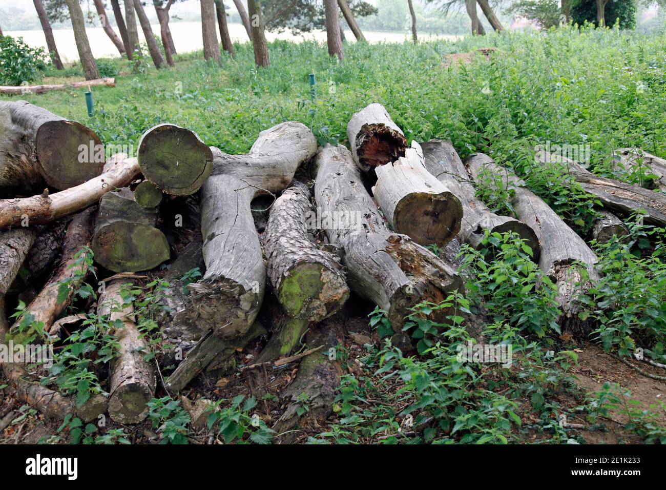 Left to rot hi-res stock photography and images - Alamy