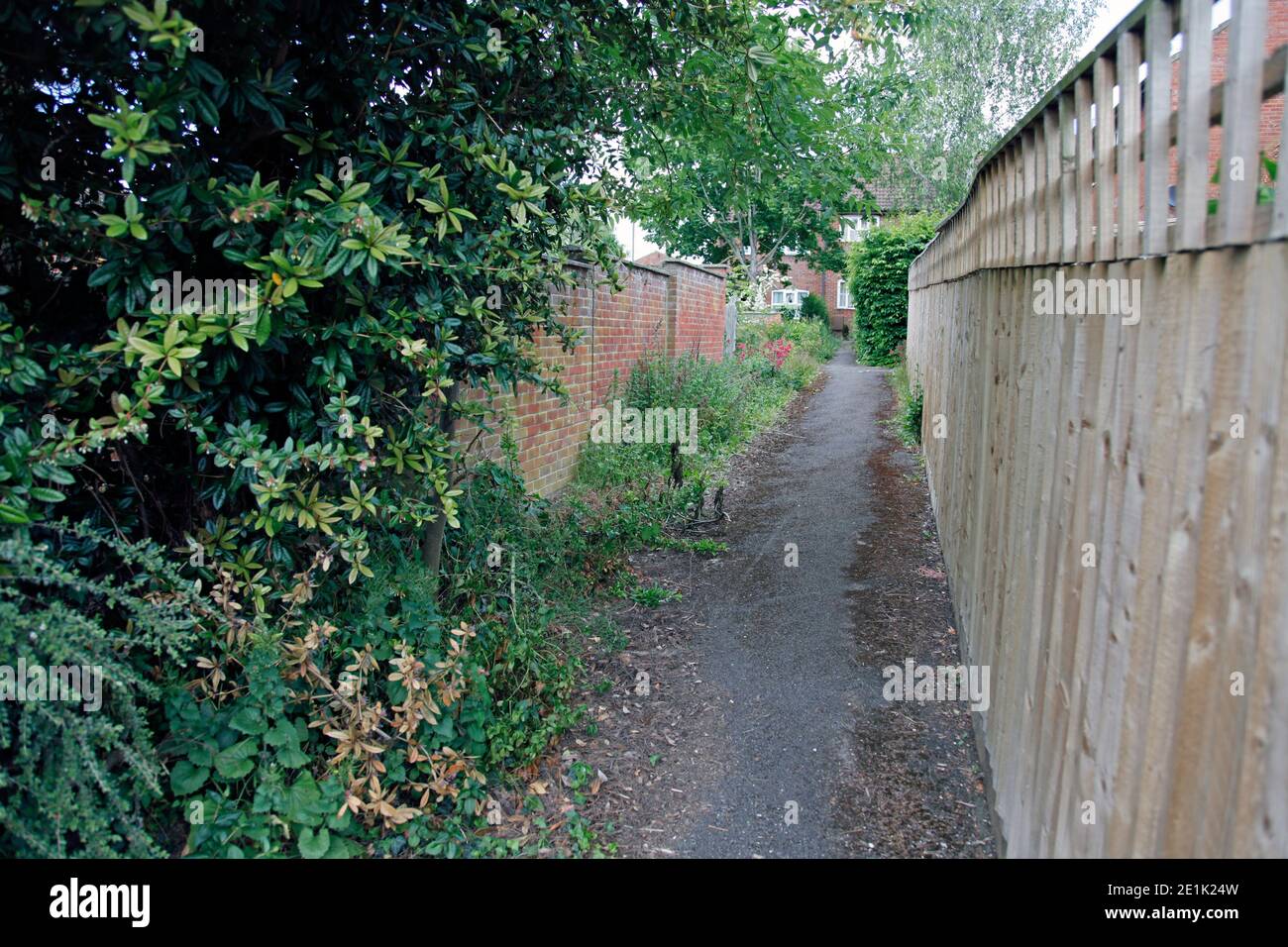 Alleyway between two house in an English town Stock Photo - Alamy