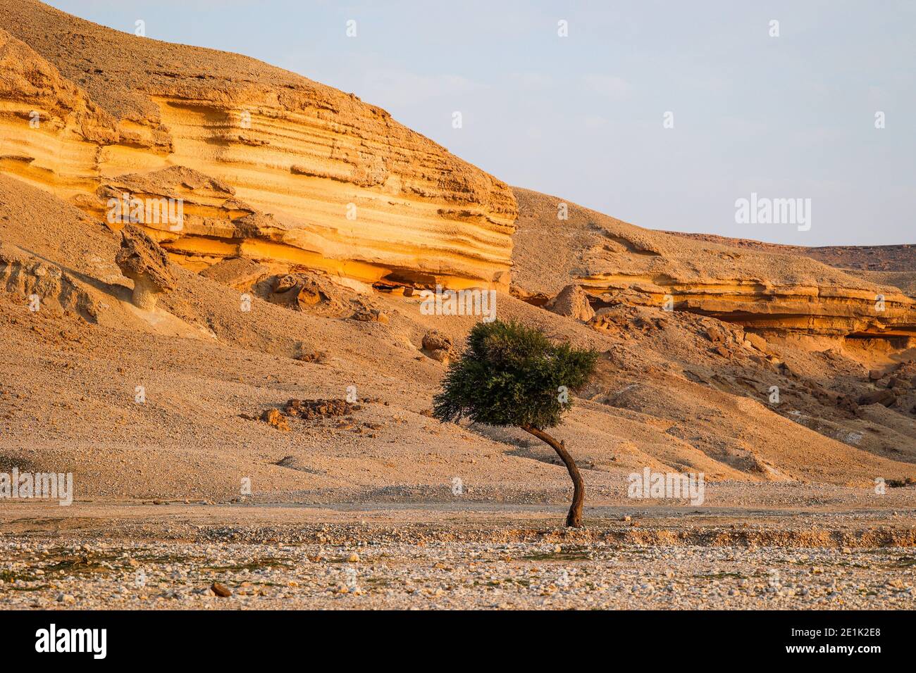 Buraydah, Saudi Arabia. 07th Jan, 2021. Landscape during the 5th stage ...