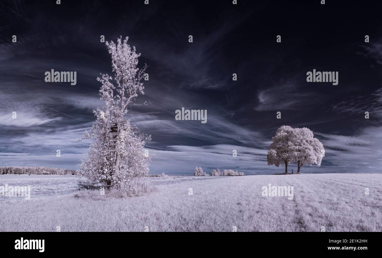 infrared photography - ir photo of landscape with tree under sky with ...
