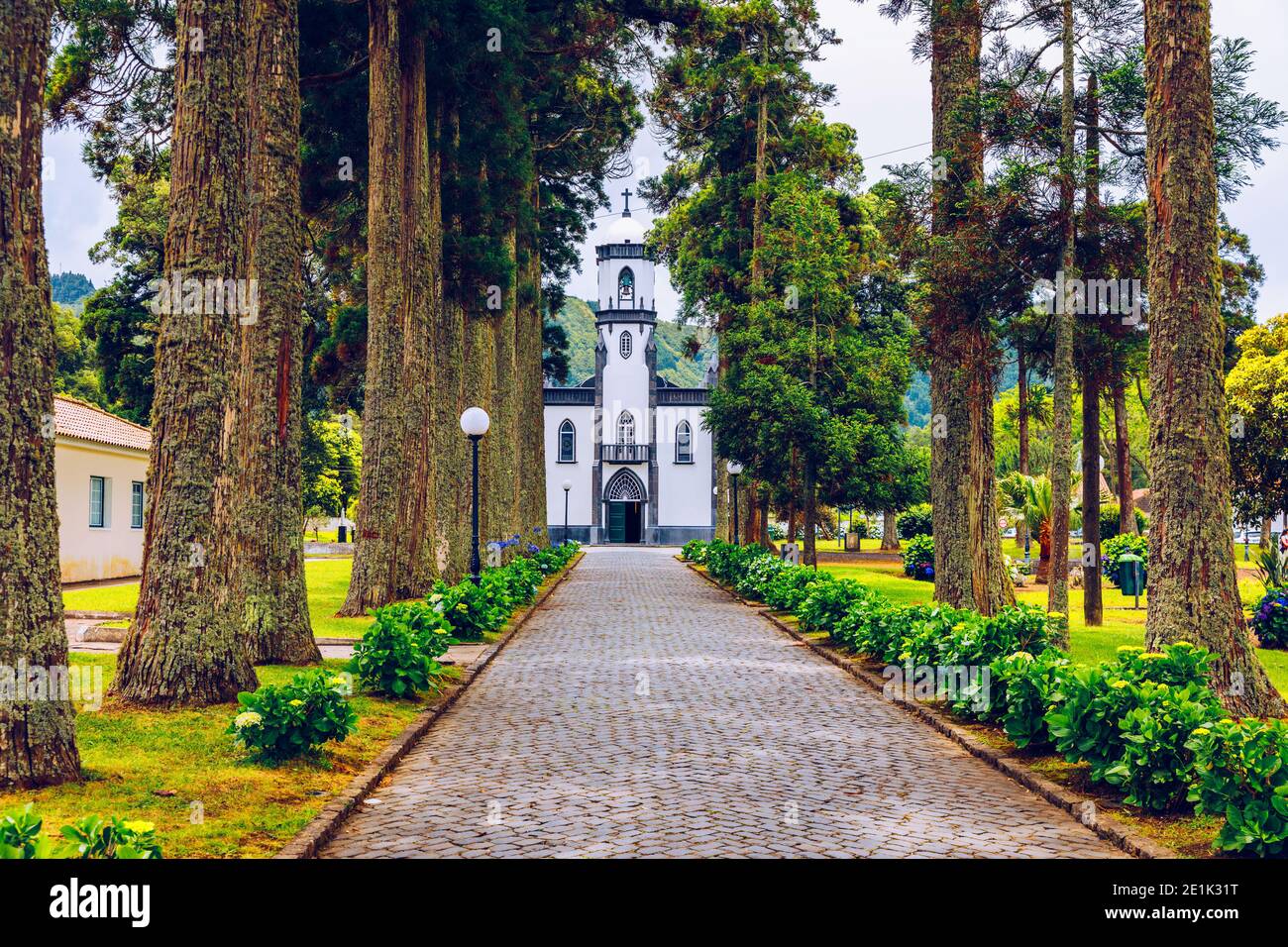 Church of Sao Nicolau (Saint Nicolas) with an alley of tall trees and ...
