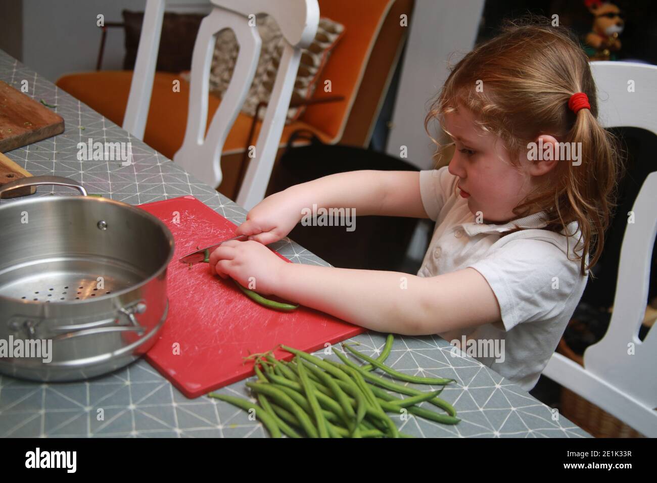 4 year old girl preparing green beans for the family meal, UK Stock ...