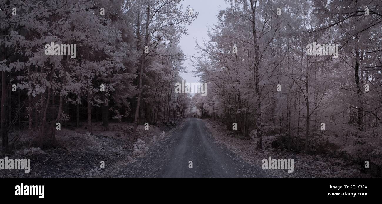 infrared photography - ir photo of landscape with tree under sky with ...