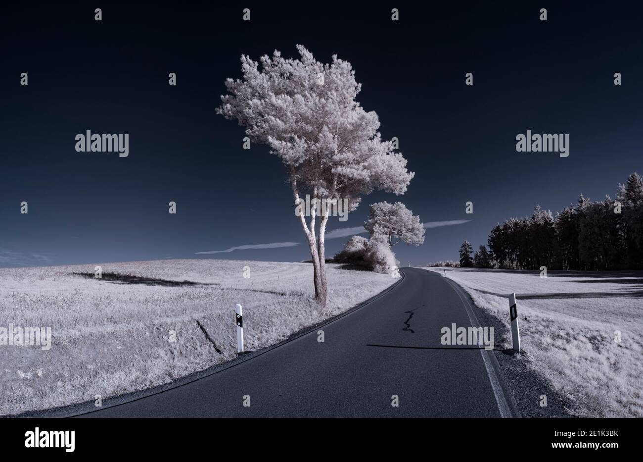 infrared photography - ir photo of landscape with tree under sky with ...