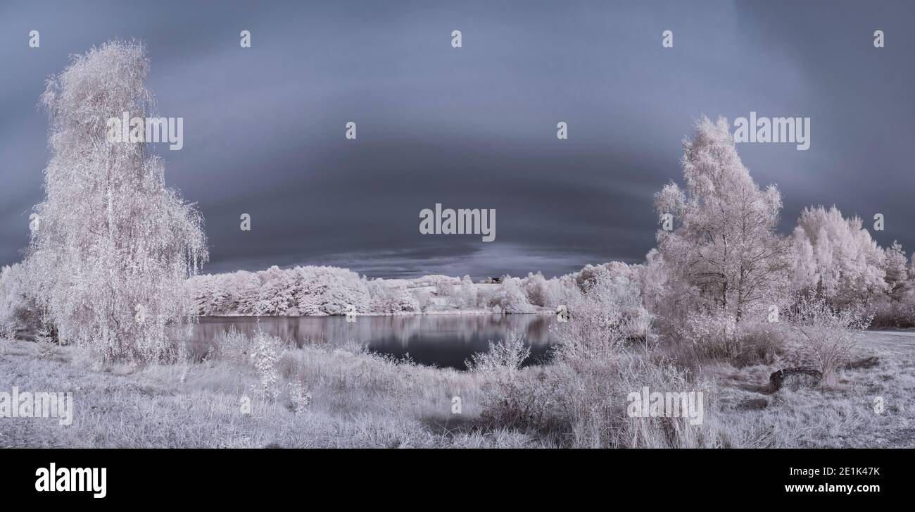 infrared photography - ir photo of landscape with tree under sky with ...