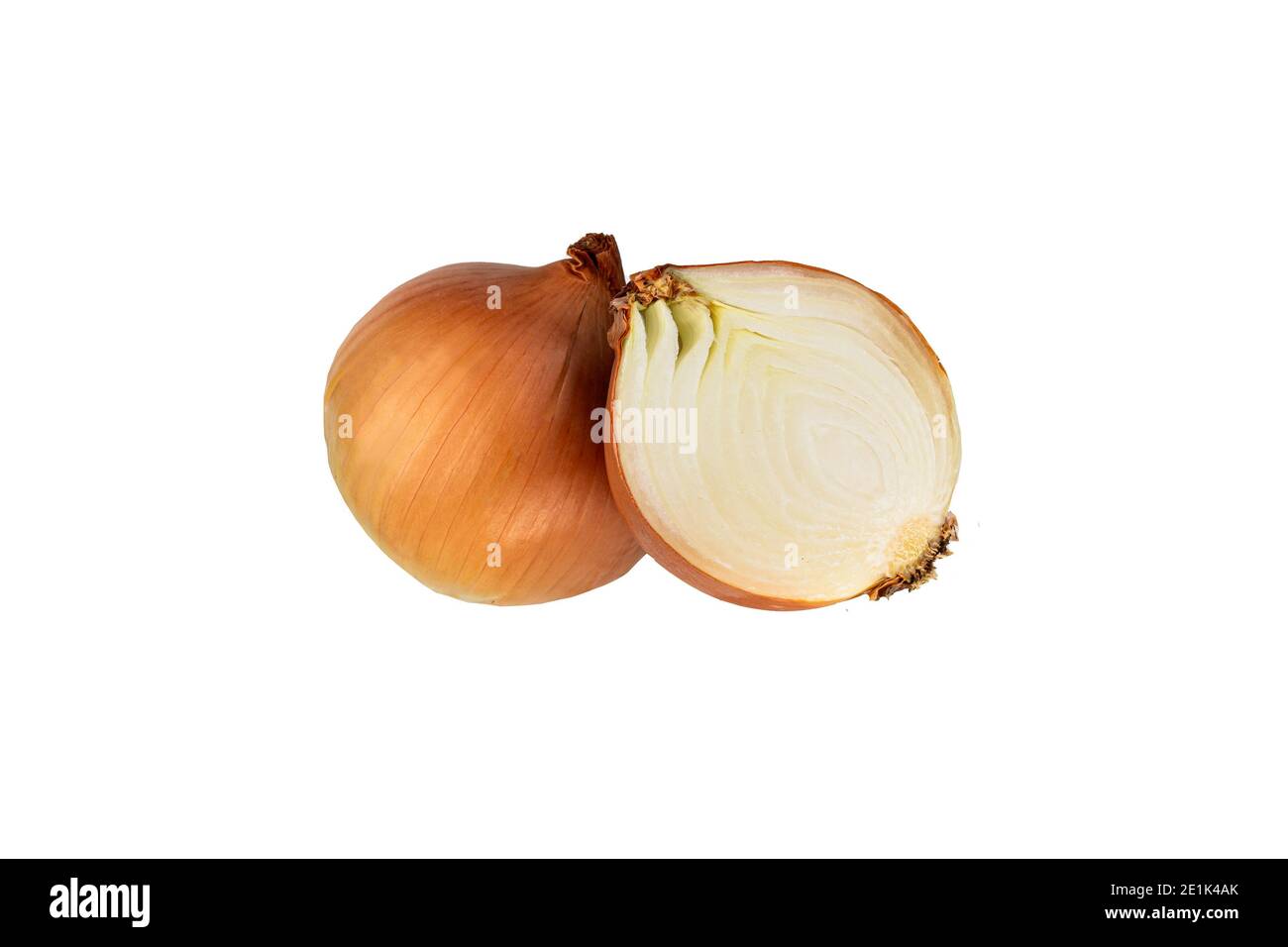 Fresh organic onion bulb vegetable isolated on white Stock Photo - Alamy