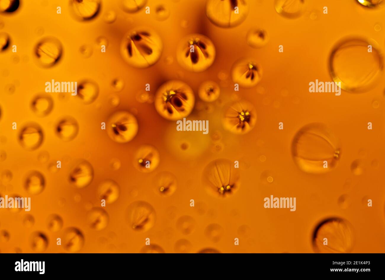 Orange fruit through drops on glass Stock Photo - Alamy