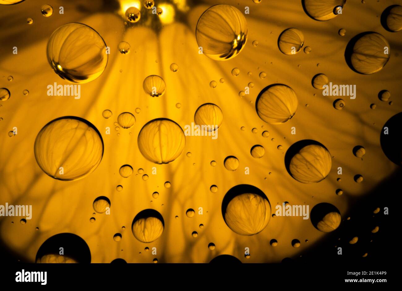 Orange fruit through drops on glass Stock Photo - Alamy