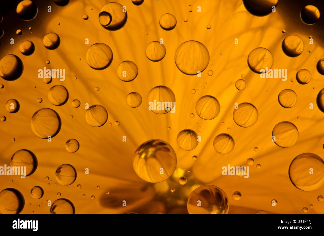 Orange fruit through drops on glass Stock Photo - Alamy
