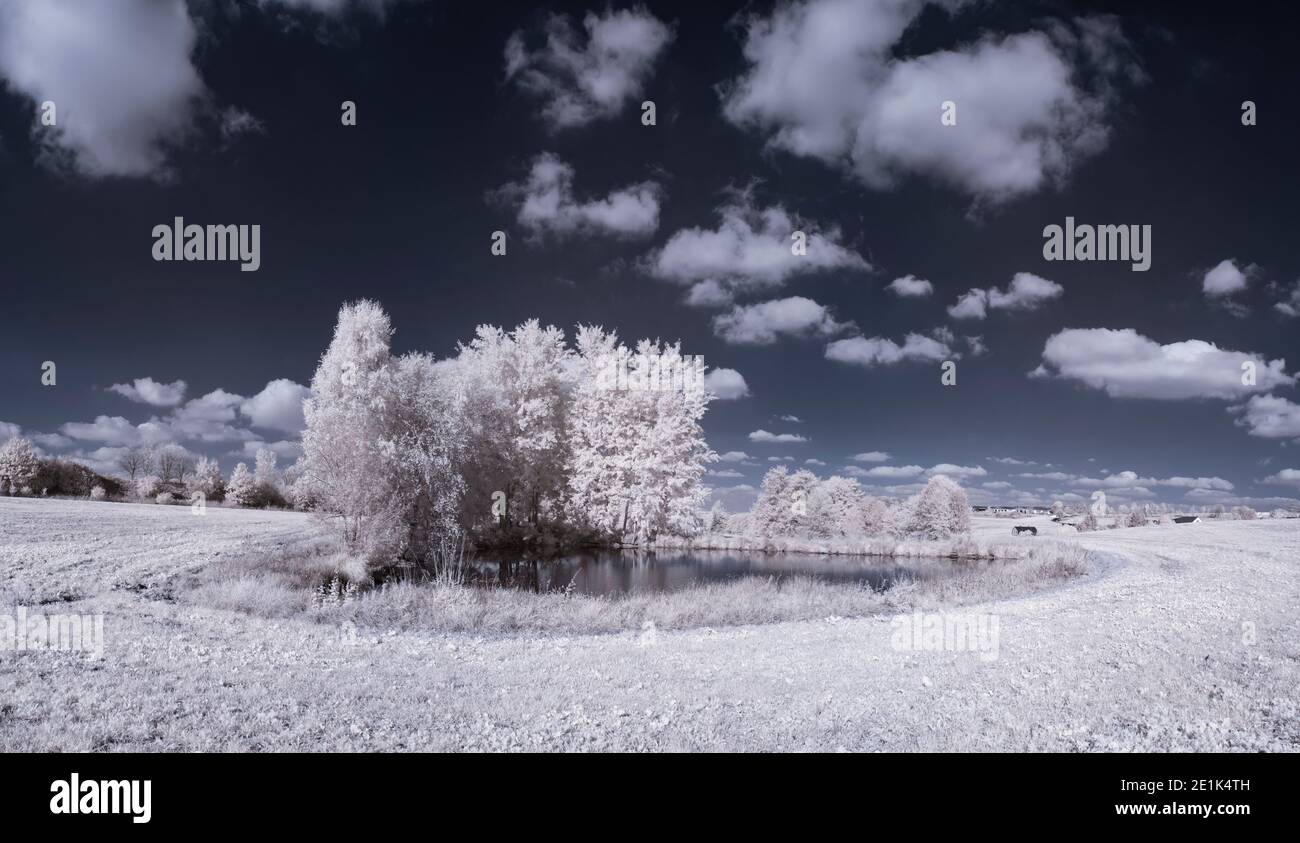 infrared photography - ir photo of landscape with tree under sky with ...