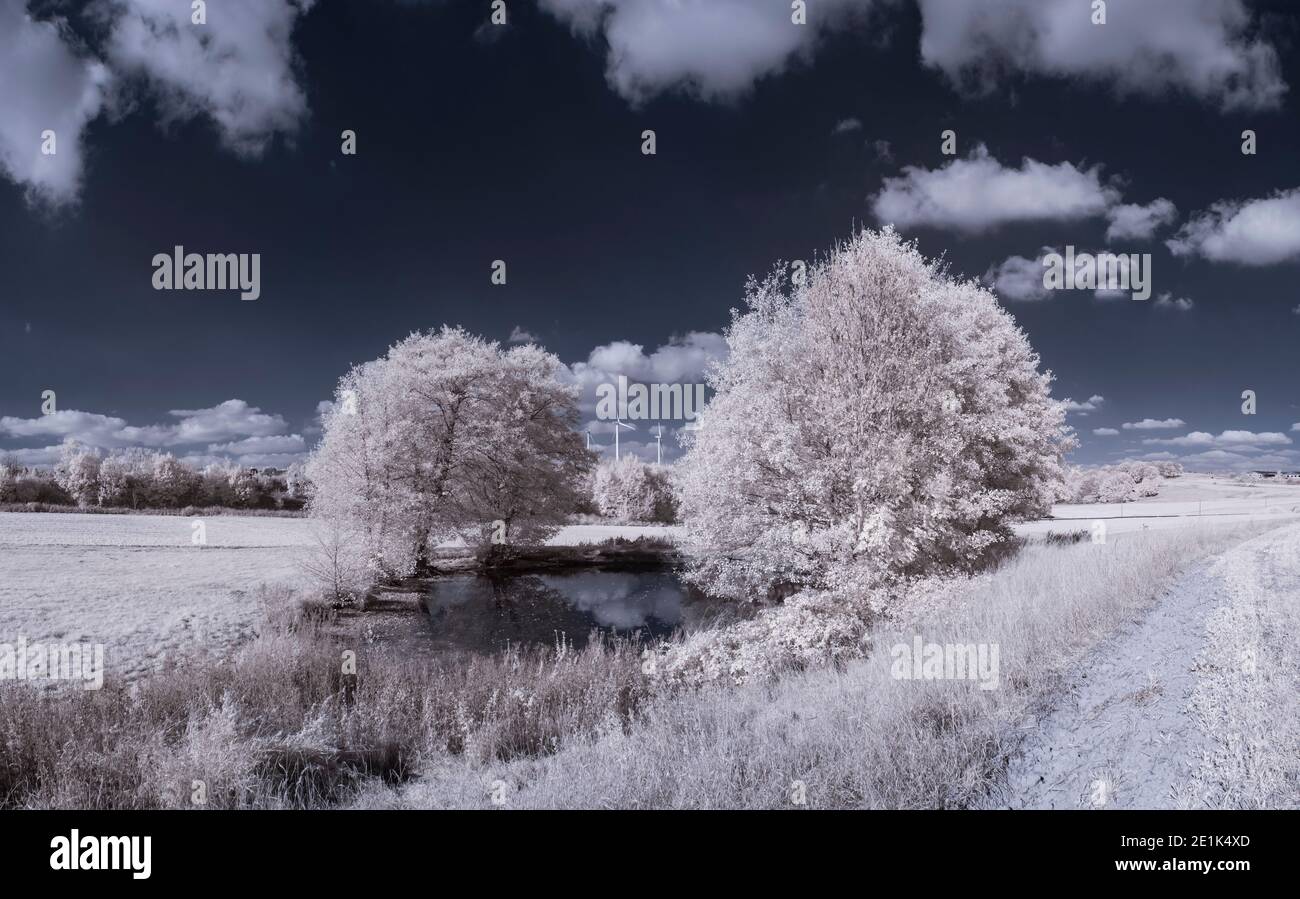 infrared photography - ir photo of landscape with tree under sky with ...