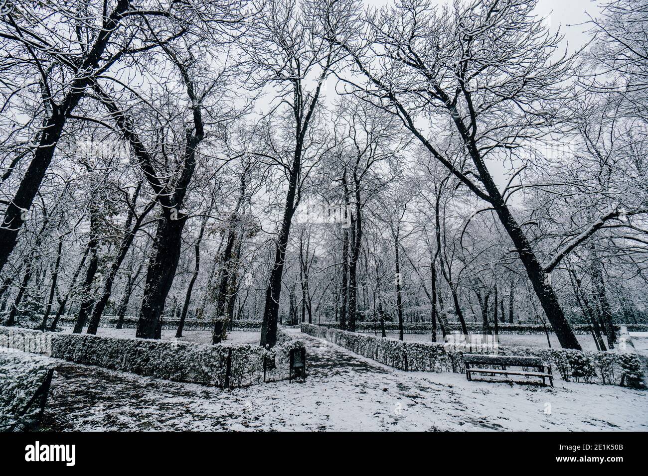 Madrid, Spain - January 2021: Retiro Park in Madrid with snow after ...