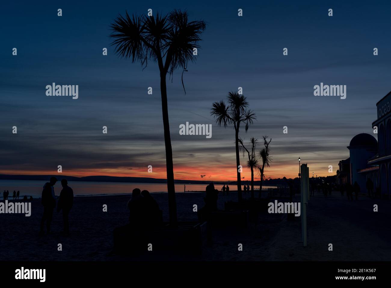 Bournemouth palm trees hi-res stock photography and images - Alamy