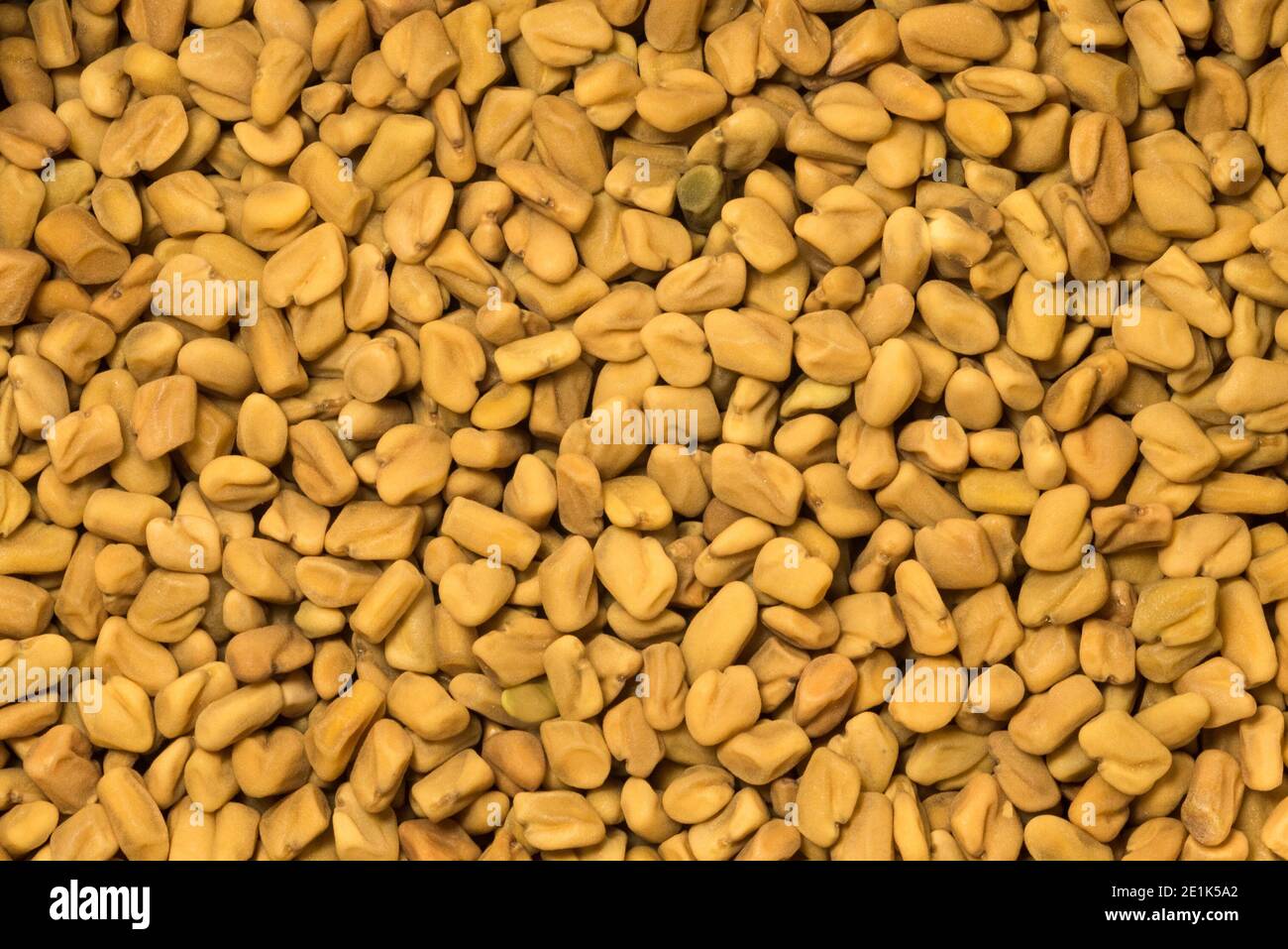 Fenugreek seeds hi-res stock photography and images - Alamy