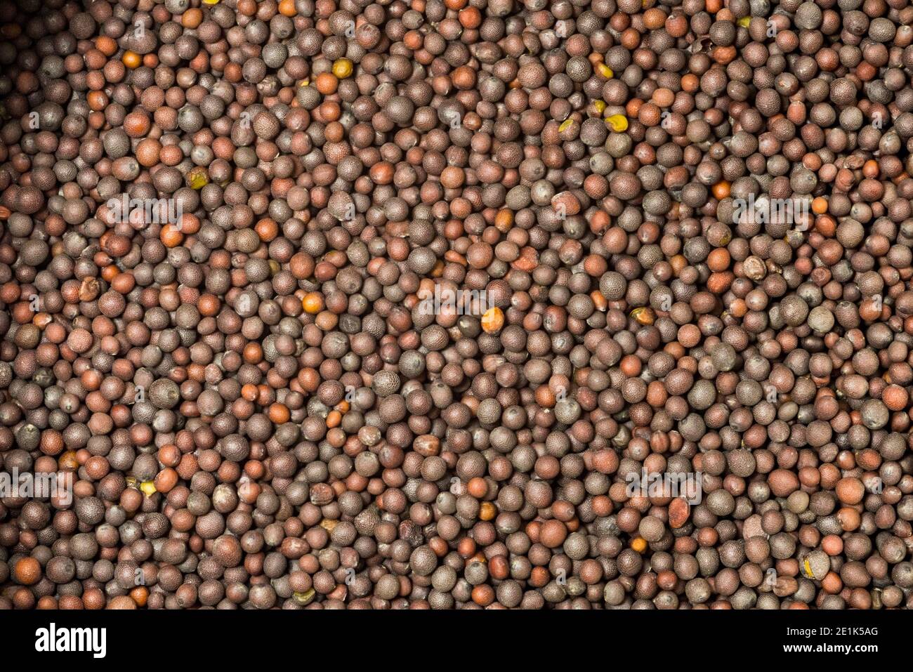 Macro mustard hi-res stock photography and images - Alamy
