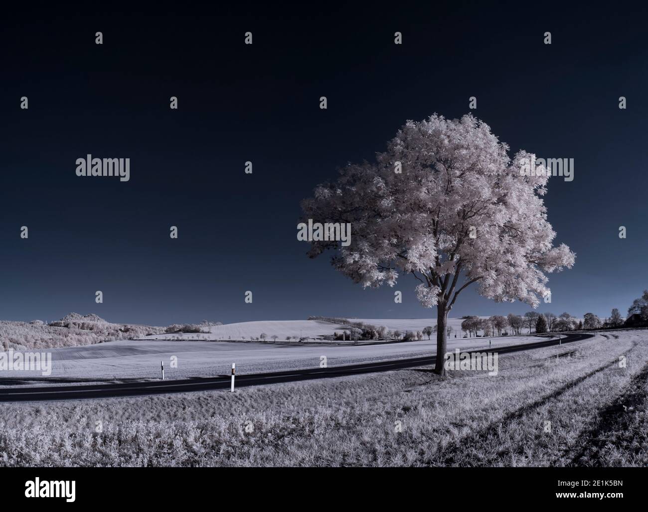 infrared photography - ir photo of landscape with tree under sky with ...