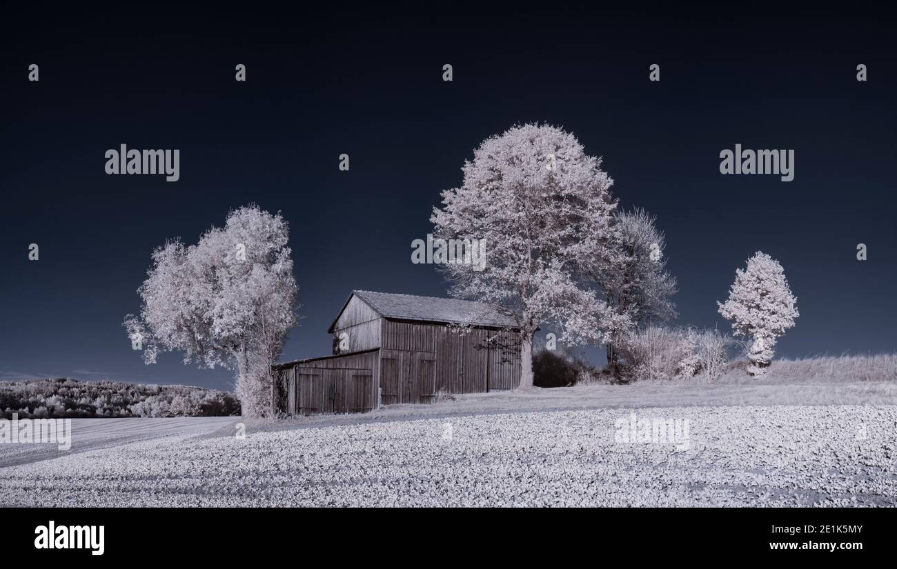 infrared photography - ir photo of landscape with tree under sky with ...