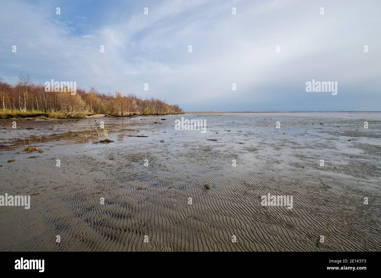 Littoral zone hi-res stock photography and images - Alamy