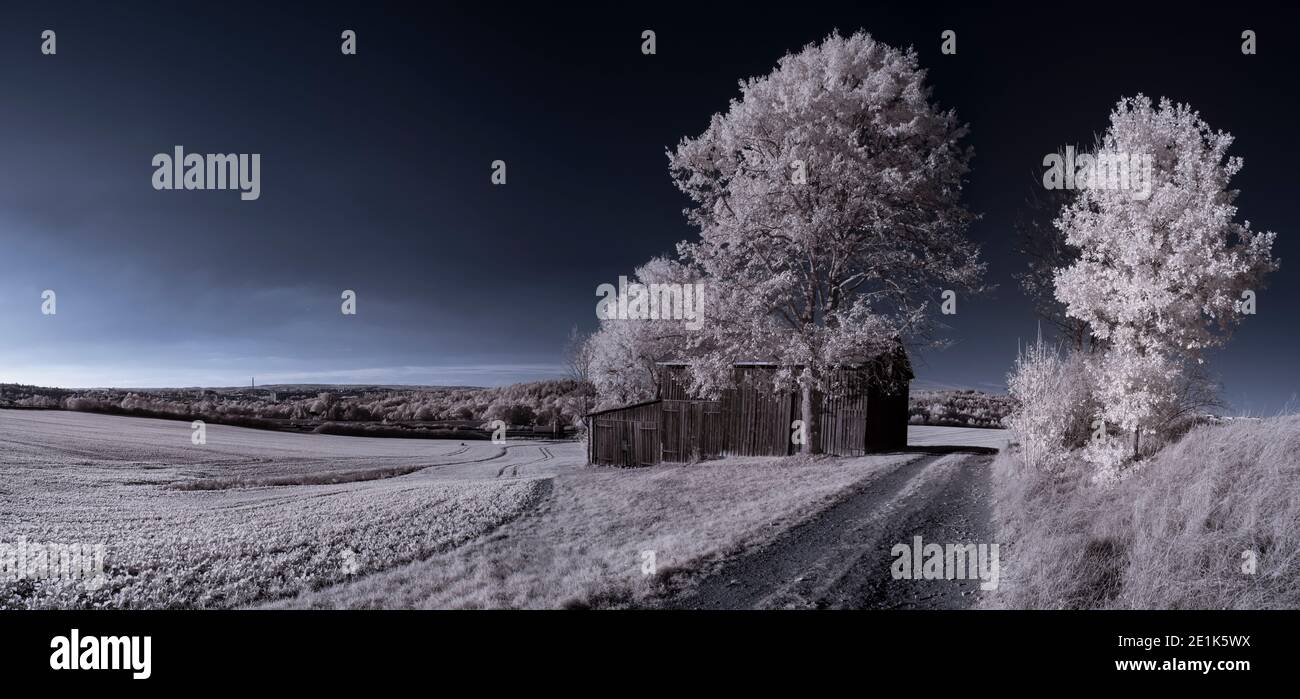 infrared photography - ir photo of landscape with tree under sky with ...