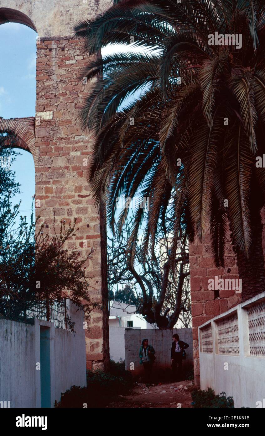 The Zaghouan Aqueduct or Aqueduct of Carthage of total length of 132 km ...