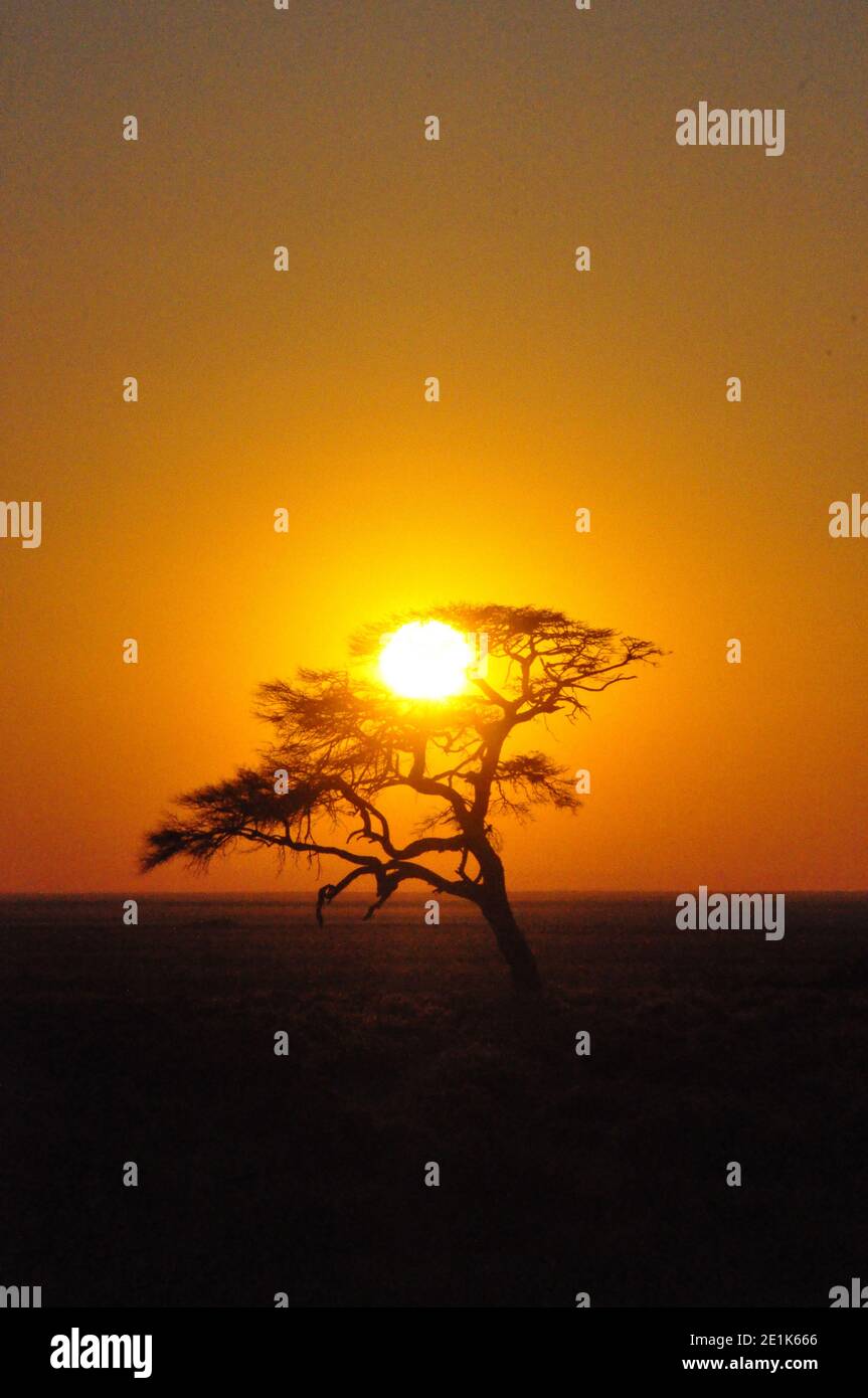 Sunball hi-res stock photography and images - Alamy