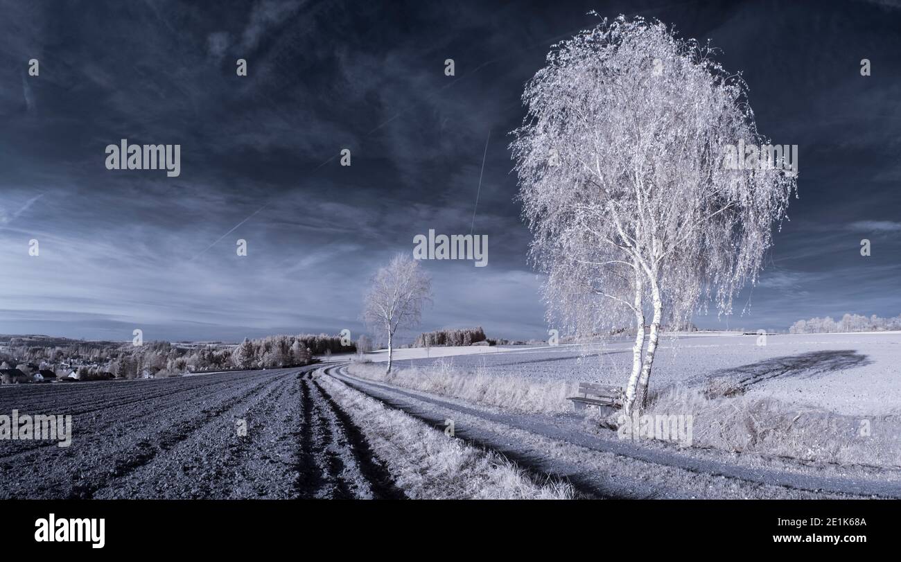 infrared photography - ir photo of landscape with tree under sky with ...