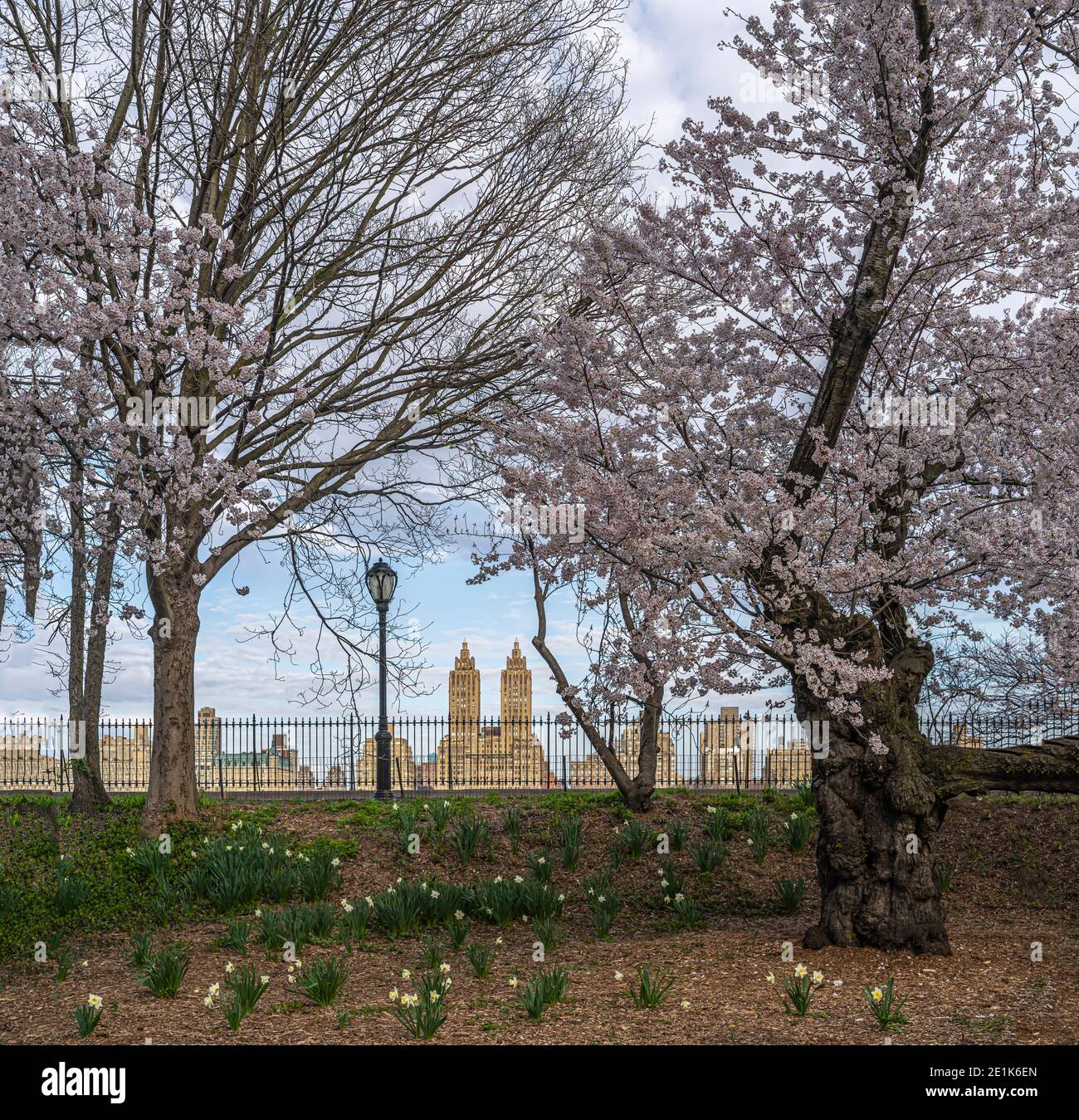 Spring in Central Park, New York City Stock Photo - Alamy