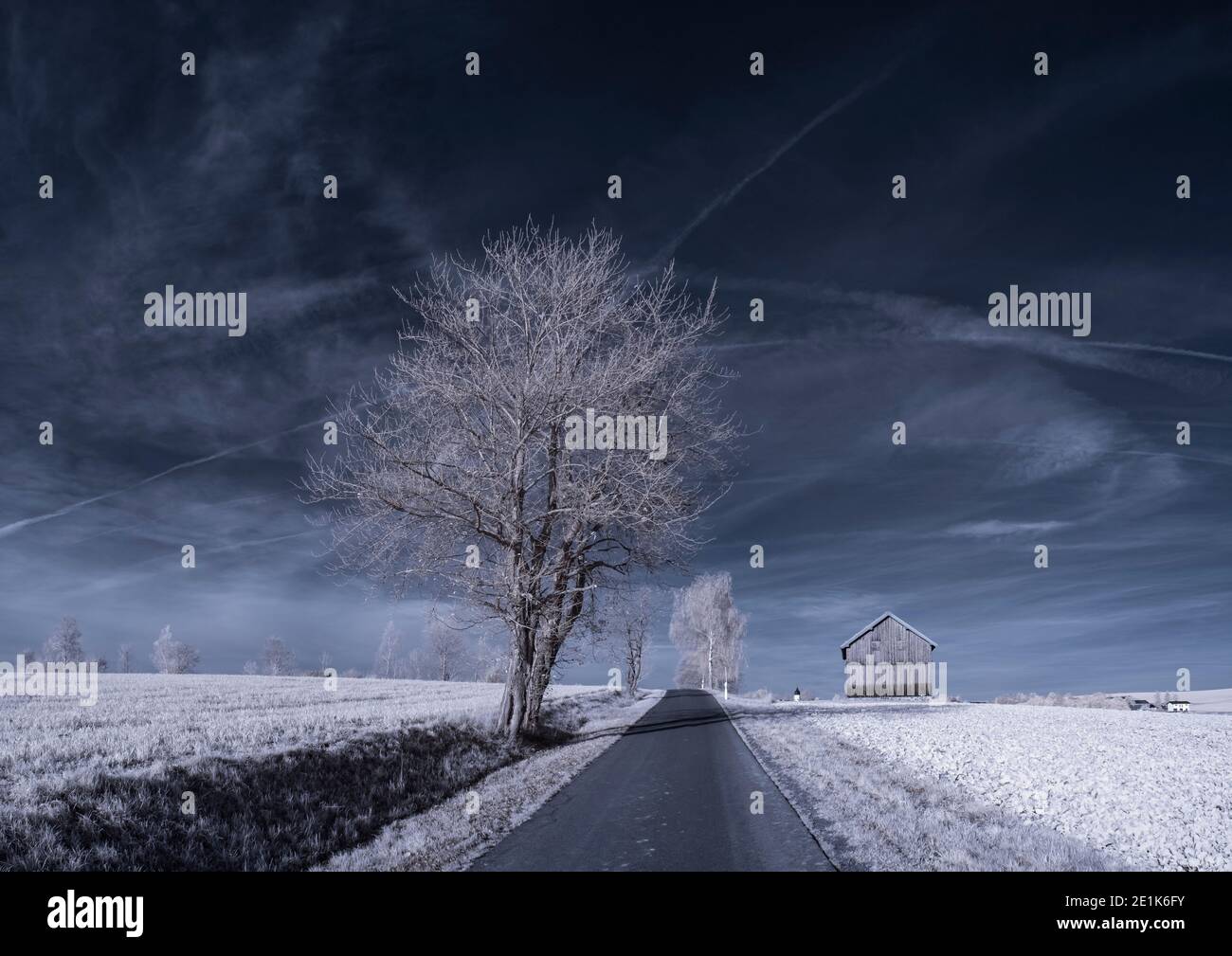 infrared photography - ir photo of landscape with tree under sky with ...