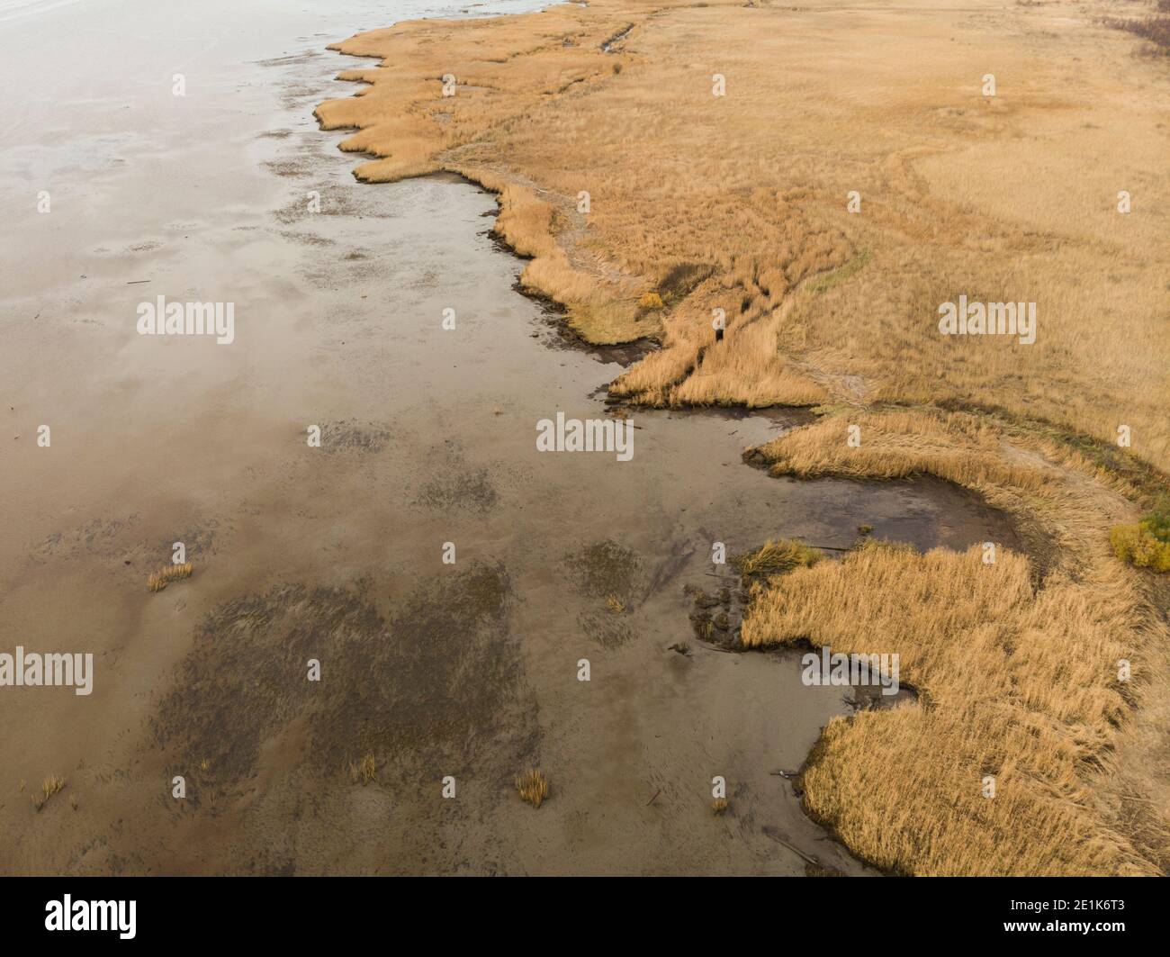 Reed lands hi-res stock photography and images - Alamy