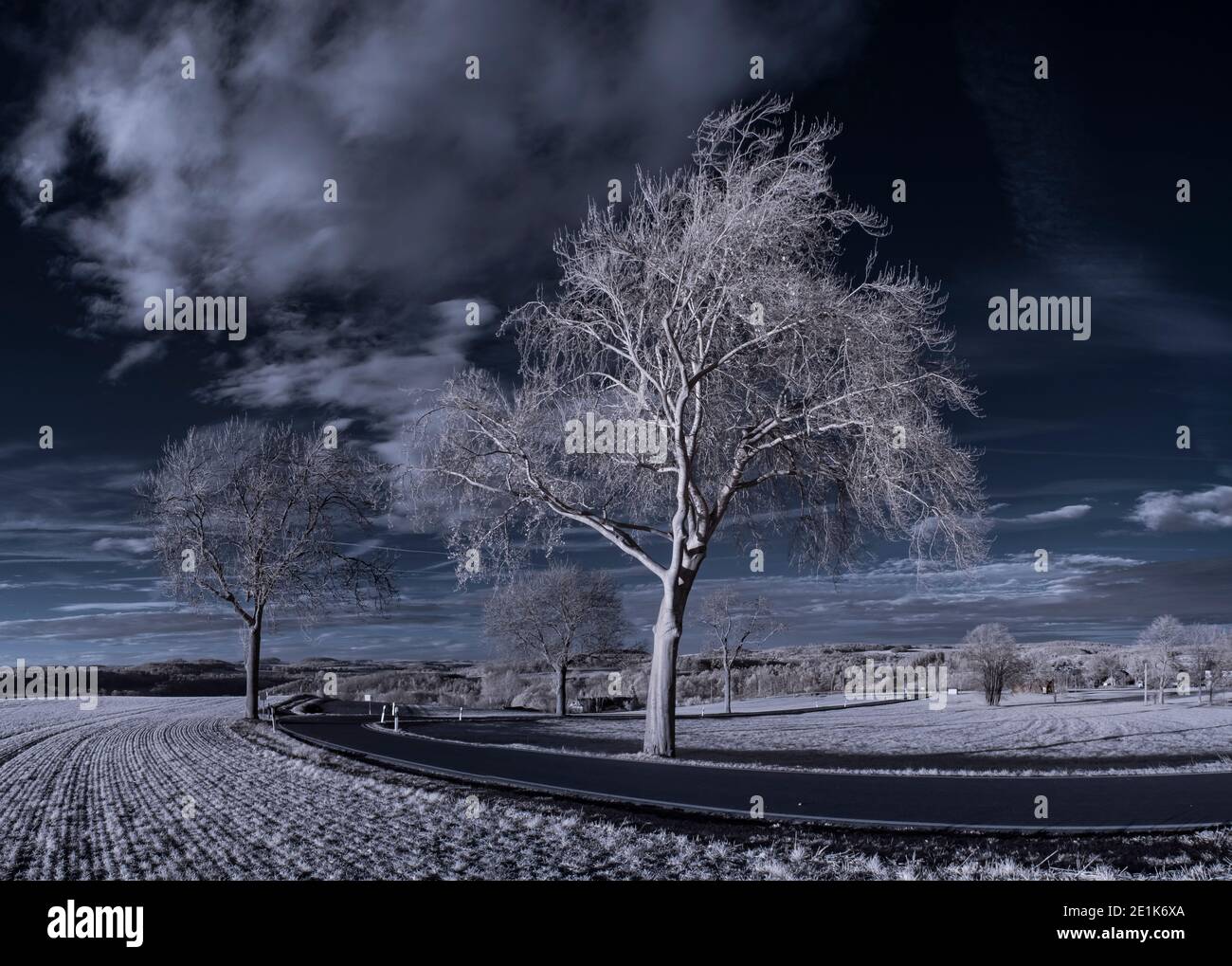 infrared photography - ir photo of landscape with tree under sky with ...
