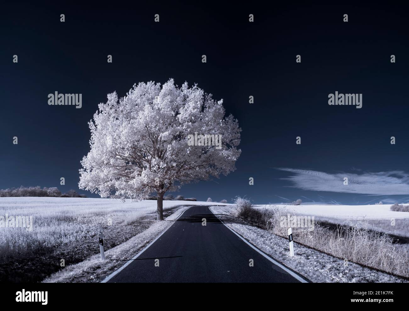 infrared photography - ir photo of landscape with tree under sky with ...