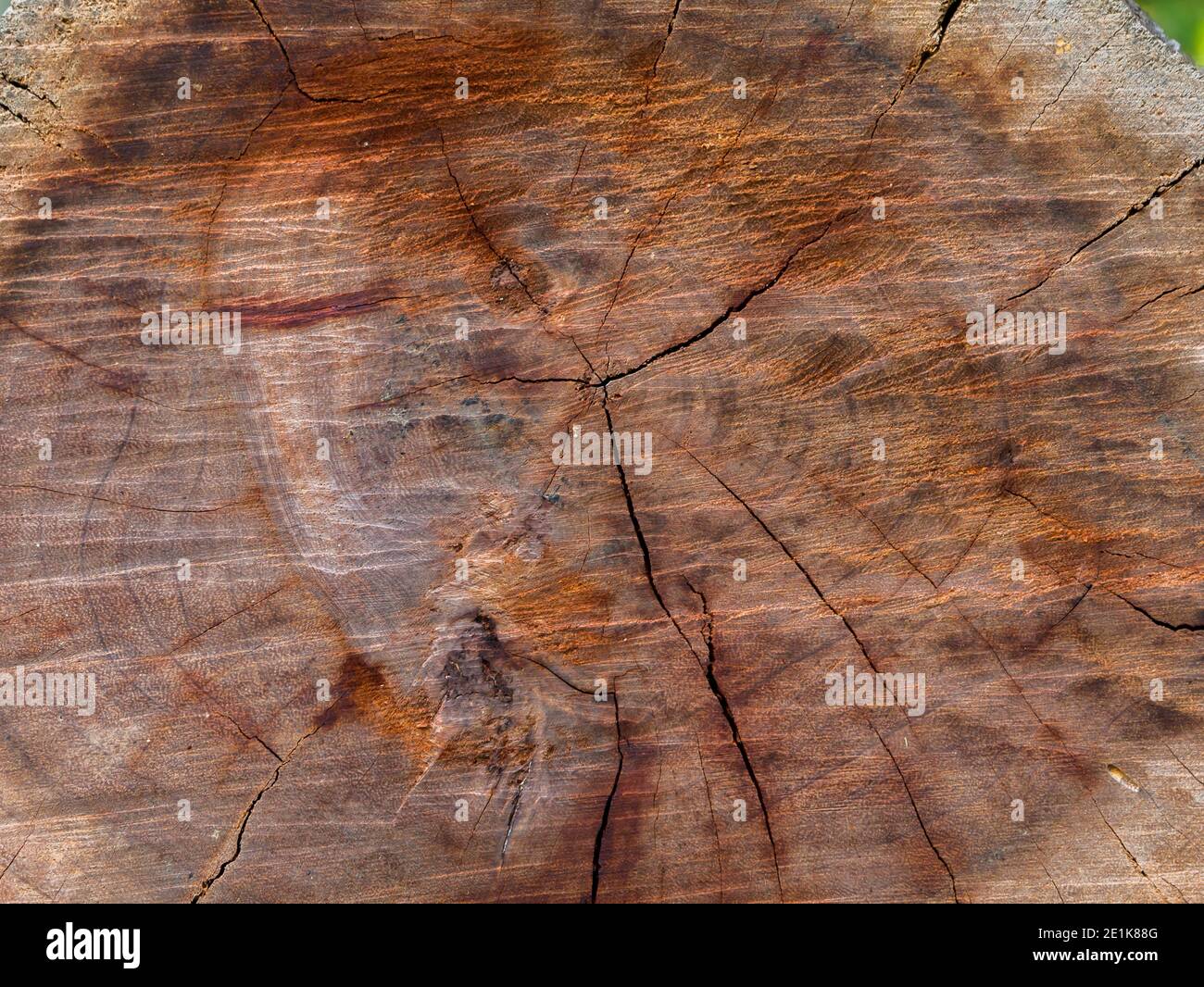 Closeup nature surface texture style of wooden Stock Photo - Alamy