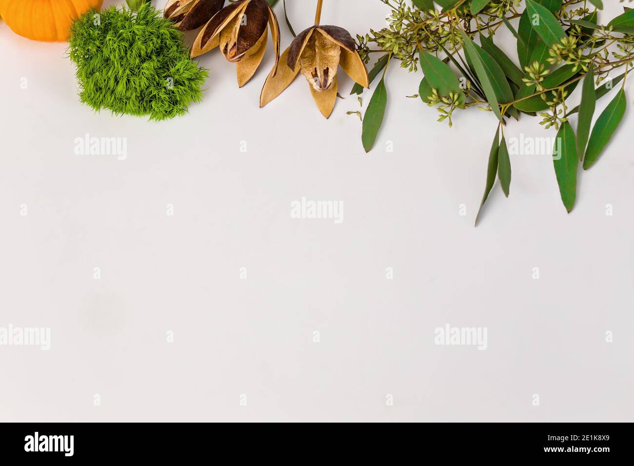 Fall foliage arrangement border on white background Stock Photo - Alamy