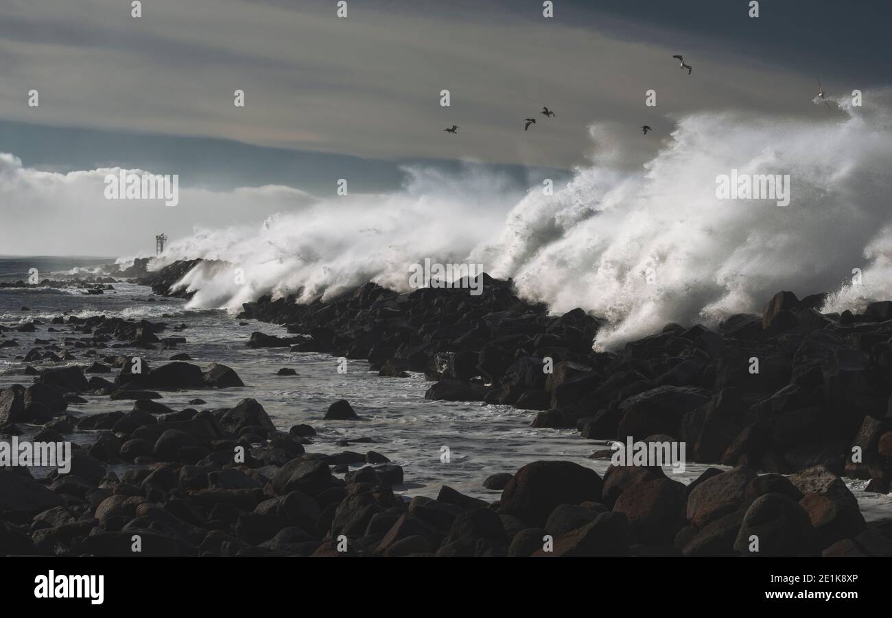 Marina state strand hi-res stock photography and images - Alamy