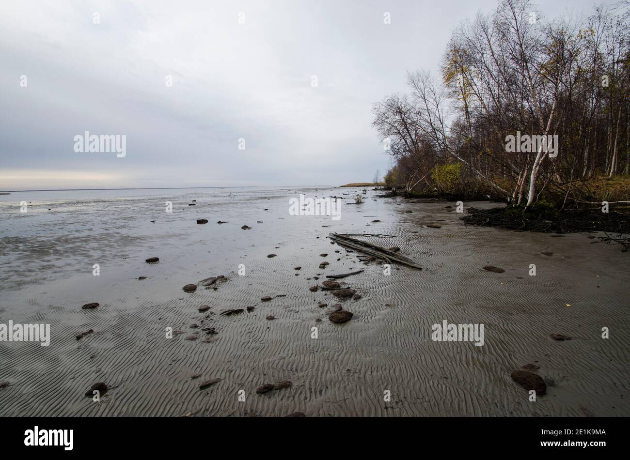 Littoral zone hi-res stock photography and images - Alamy