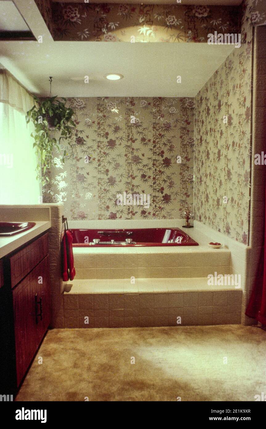 1980s Bathroom featuring Jacuzzi, FL, USA Stock Photo - Alamy