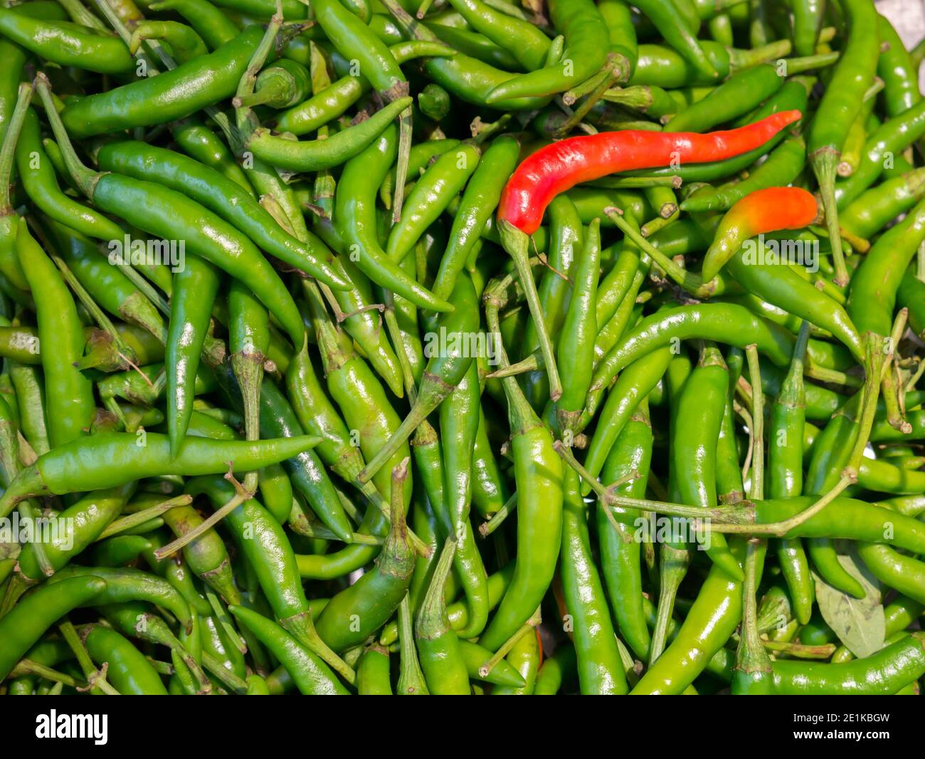 Guinea pepper hi-res stock photography and images - Alamy