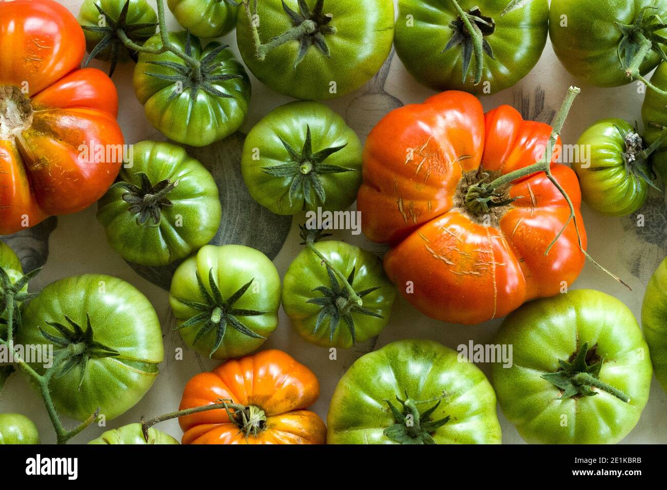 Striking red and green colours of home grown British tomatoes freshly ...