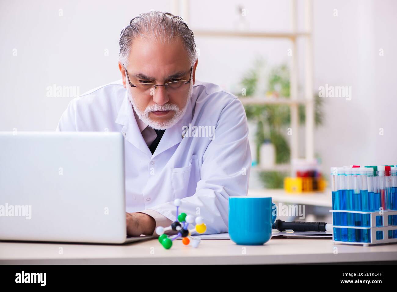 Senior male scientist examining glass hi-res stock photography and ...