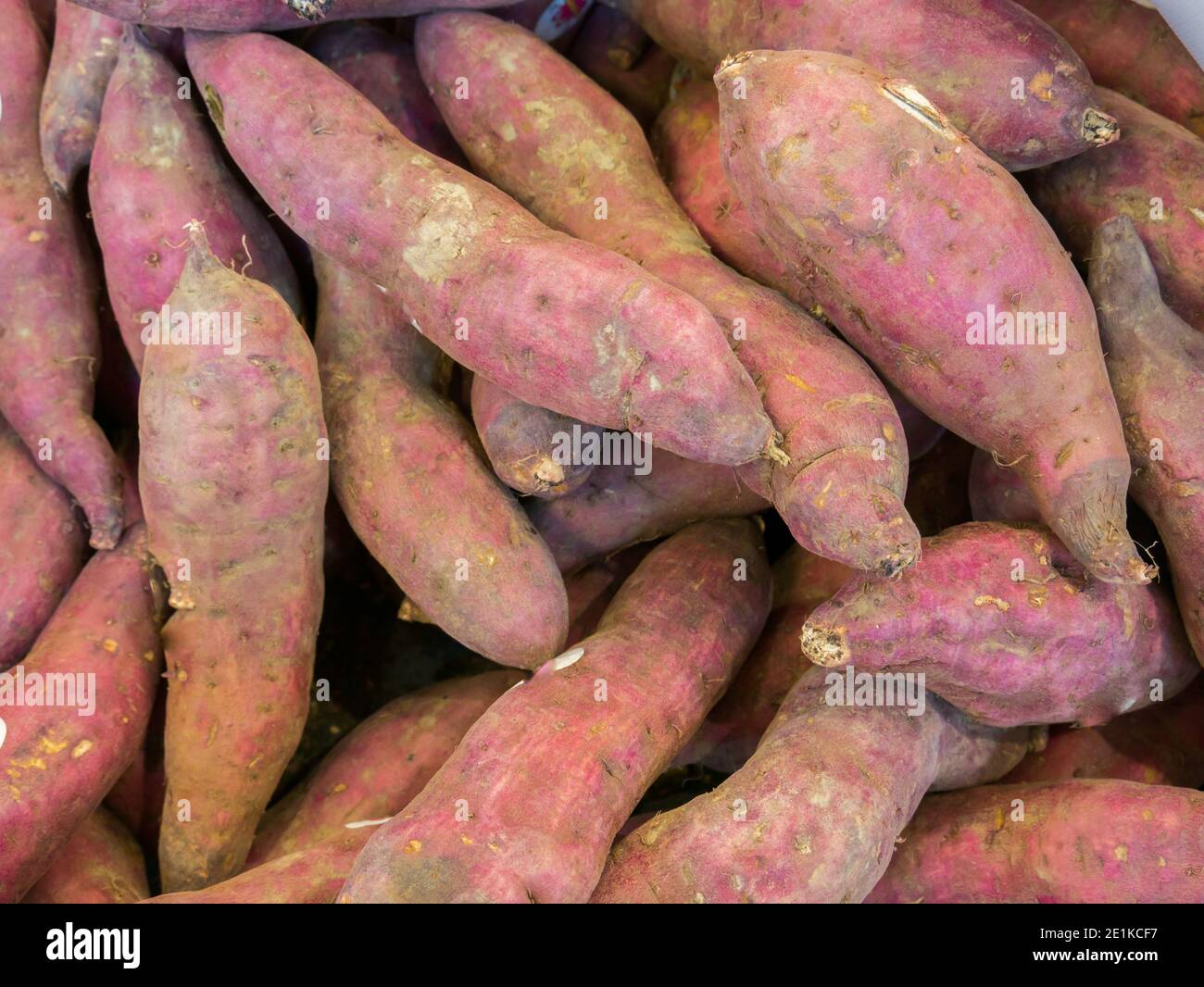 Natural skin of red sweet potato Stock Photo - Alamy