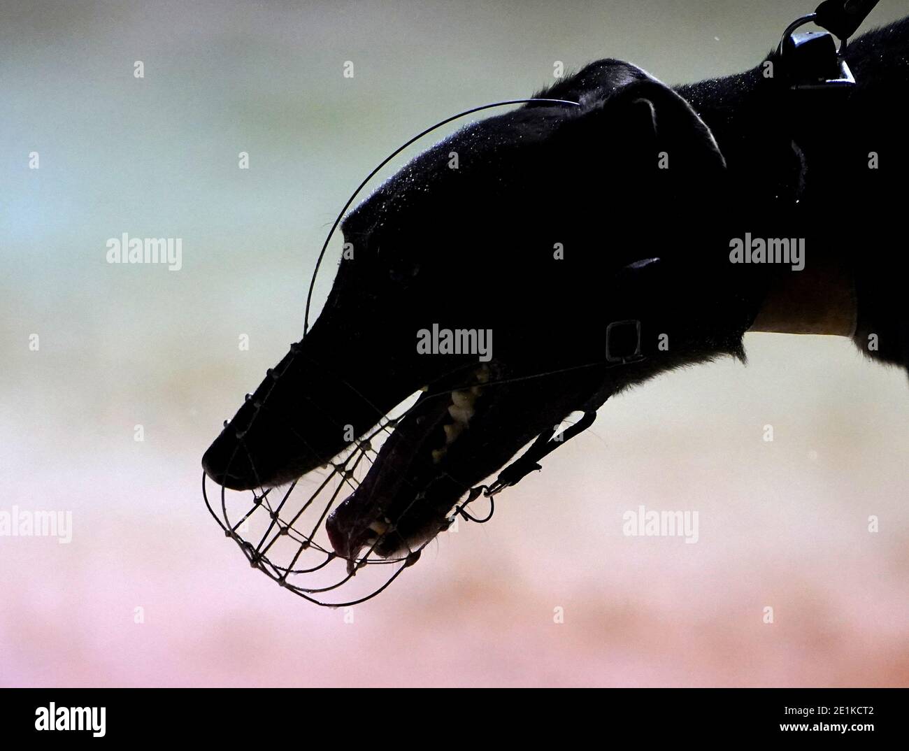 Perry barr greyhound stadium hi-res stock photography and images - Alamy