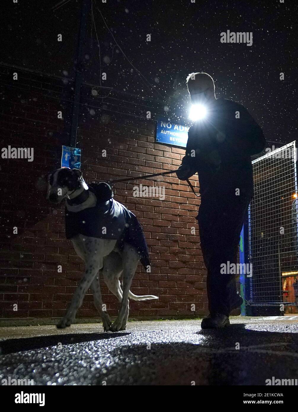 Handlers walk their dogs out to the track at Perry Barr Greyhound ...