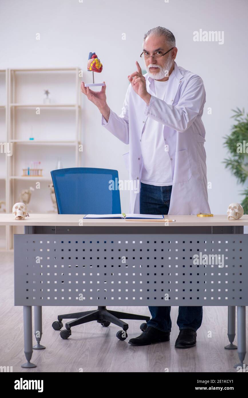 Old cardiologist explaining human heart structure Stock Photo - Alamy