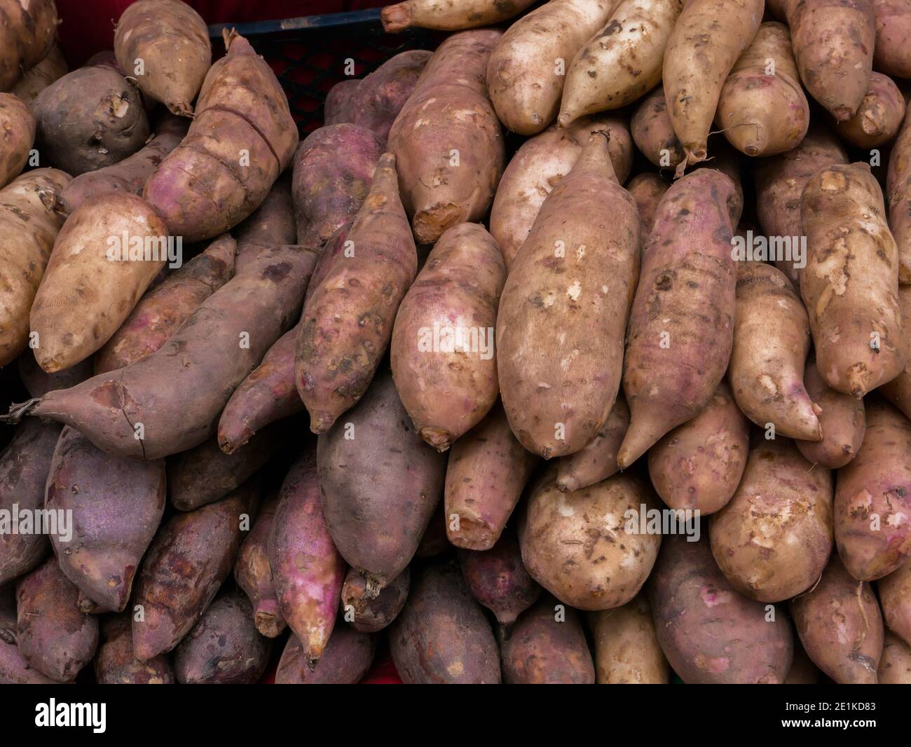 Natural red sweet potato Stock Photo - Alamy