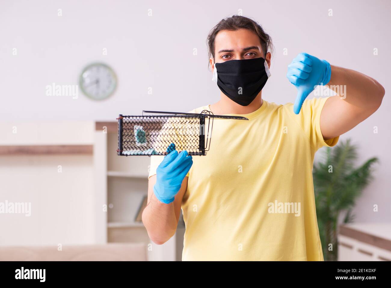 Broken mouse trap hi-res stock photography and images - Alamy