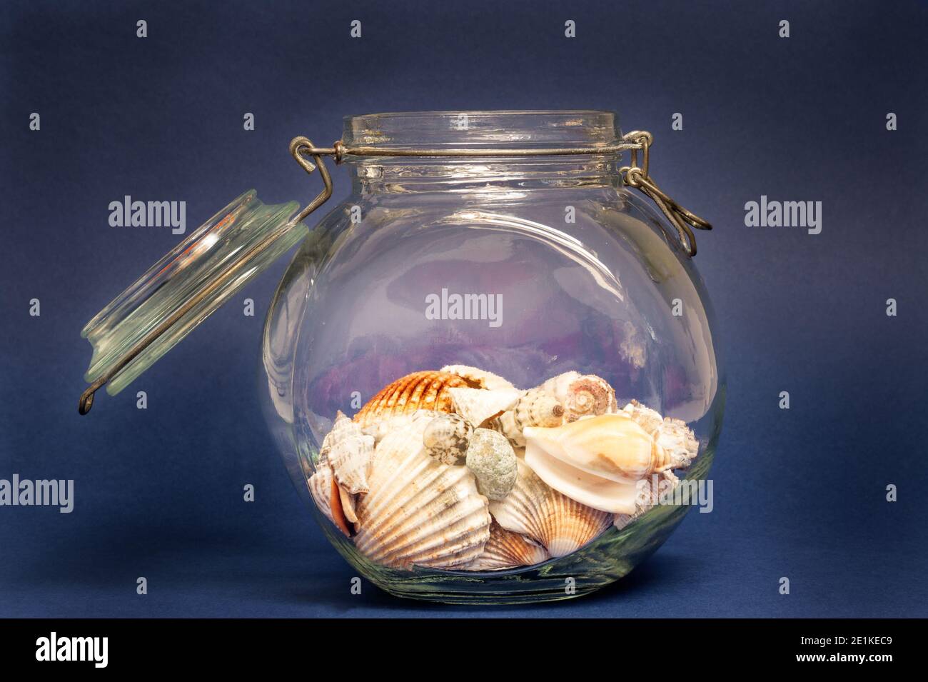 Collection of shells in a glass jar hi-res stock photography and images ...