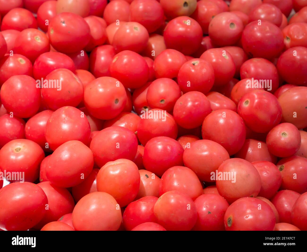 Colorful of natural fresh tomatoes skins Stock Photo - Alamy