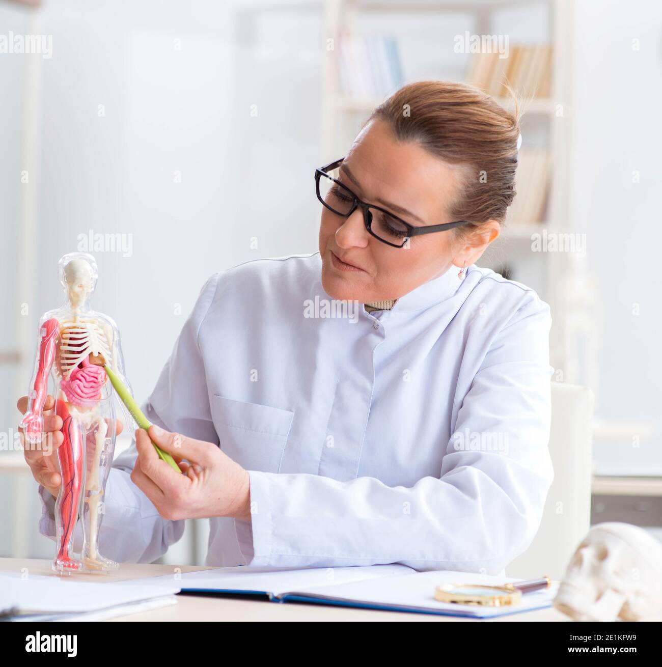 The woman doctor studying human skeleton Stock Photo - Alamy