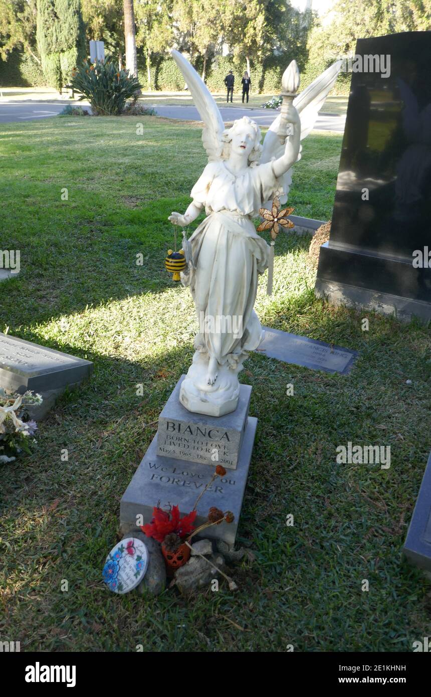 Los Angeles, California, USA 30th December 2020 A general view of ...