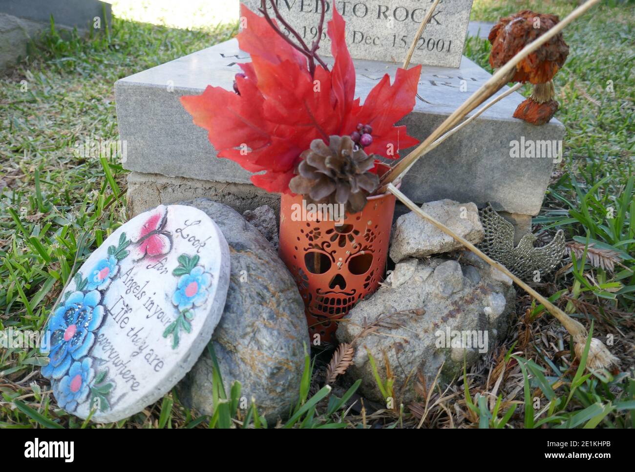 Los Angeles, California, USA 30th December 2020 A general view of ...